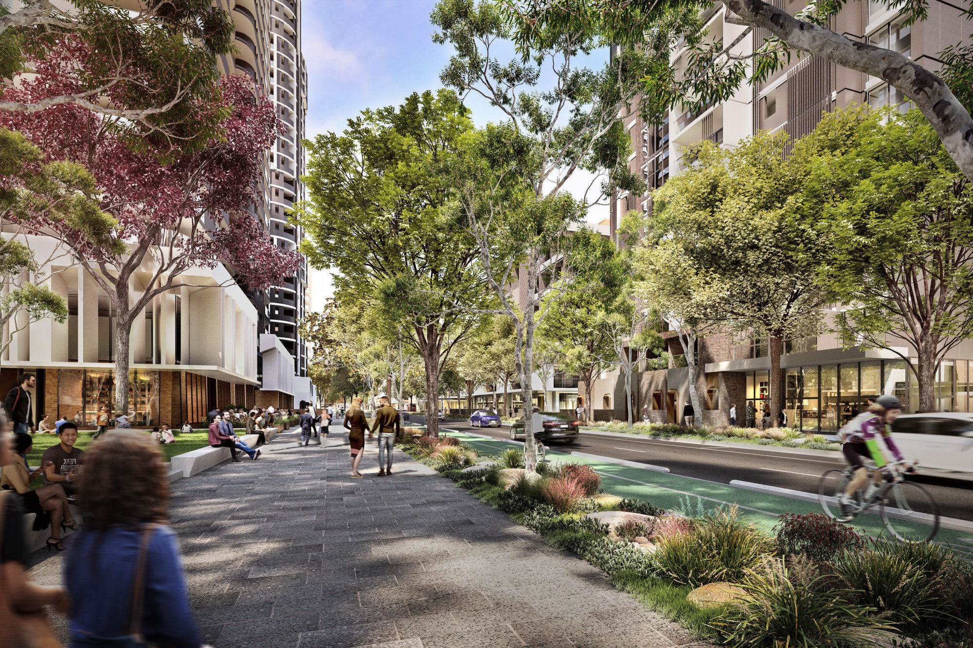 Burwood North Precinct Masterplan - Scharp