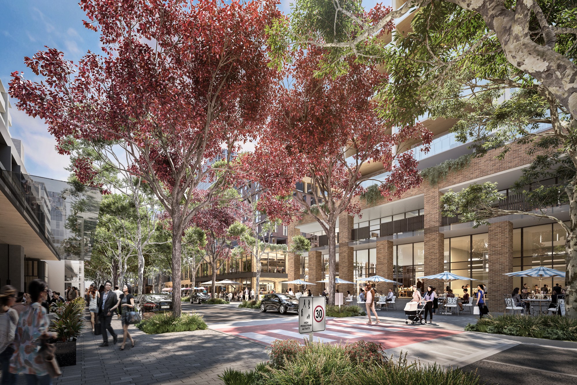 Burwood North Precinct Masterplan - Scharp